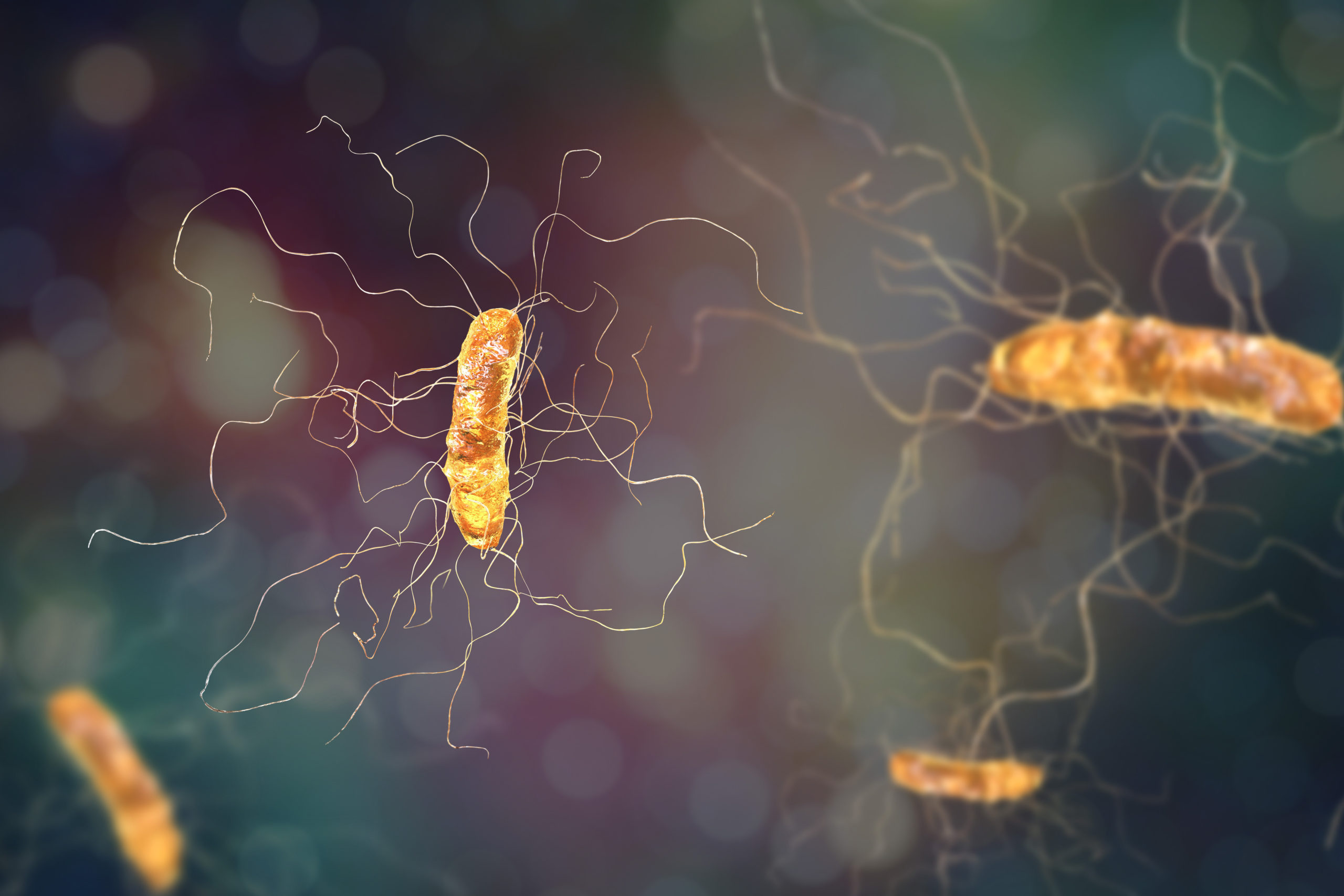 ¿Qué hay en el terroir microbiano de su granja? - All About Feed ES ...