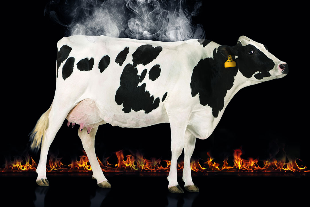 Medidas frente al aumento de las temperaturas y la humedad - All About ...